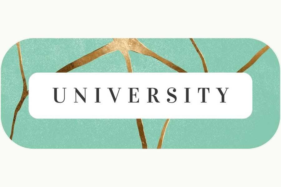 BioMed Foundation BioMed Foundation